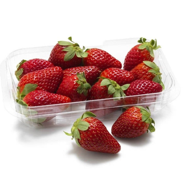 500g Strawberry Punnet - Premium Quality Australia | Surepak